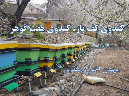 کندوی کف باز، کندوی هفت گوهر - زنبور عسل و زنبورداری